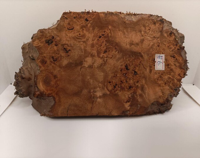 Big Beech Burl Wood Burl Block,woodworking Lumber,exotic Wood, Knife ...