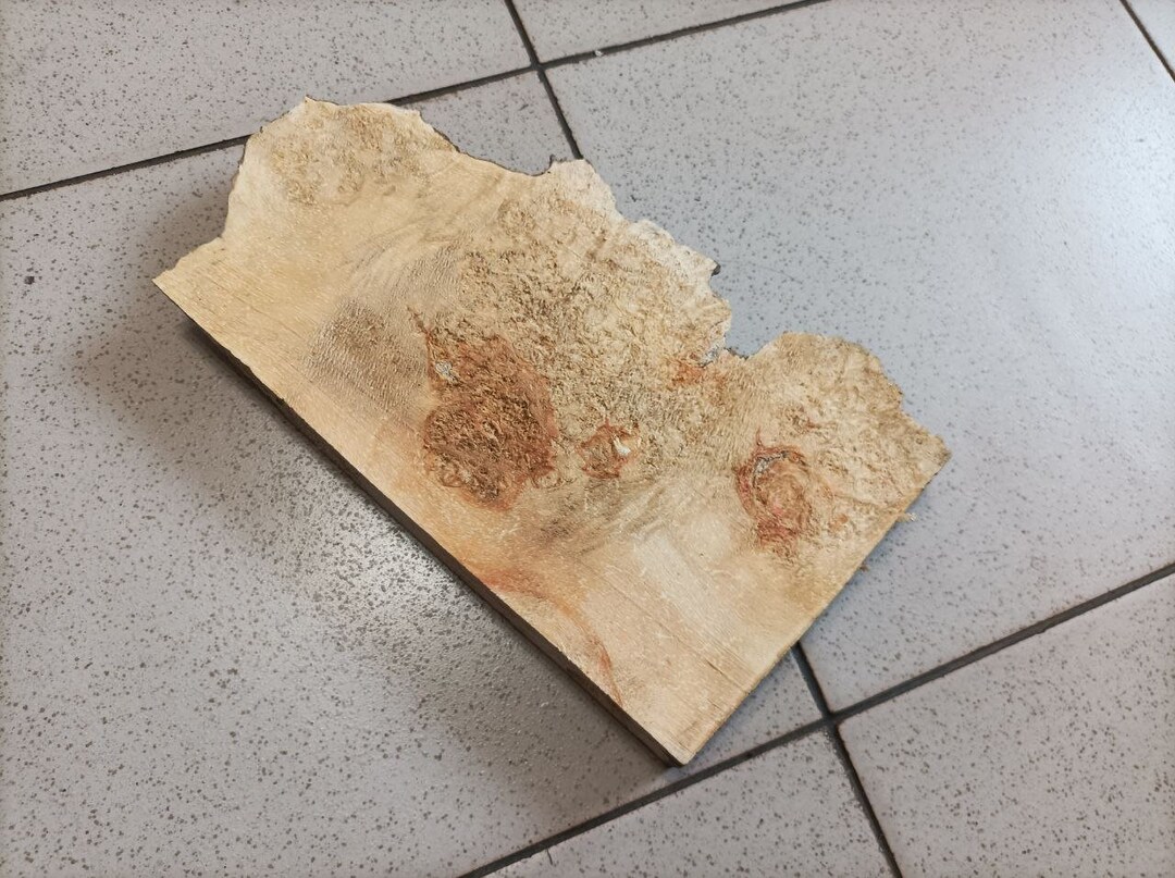 Big Maple Spalted Burl Board Slab Wood Burl Block,woodworking Lumber ...