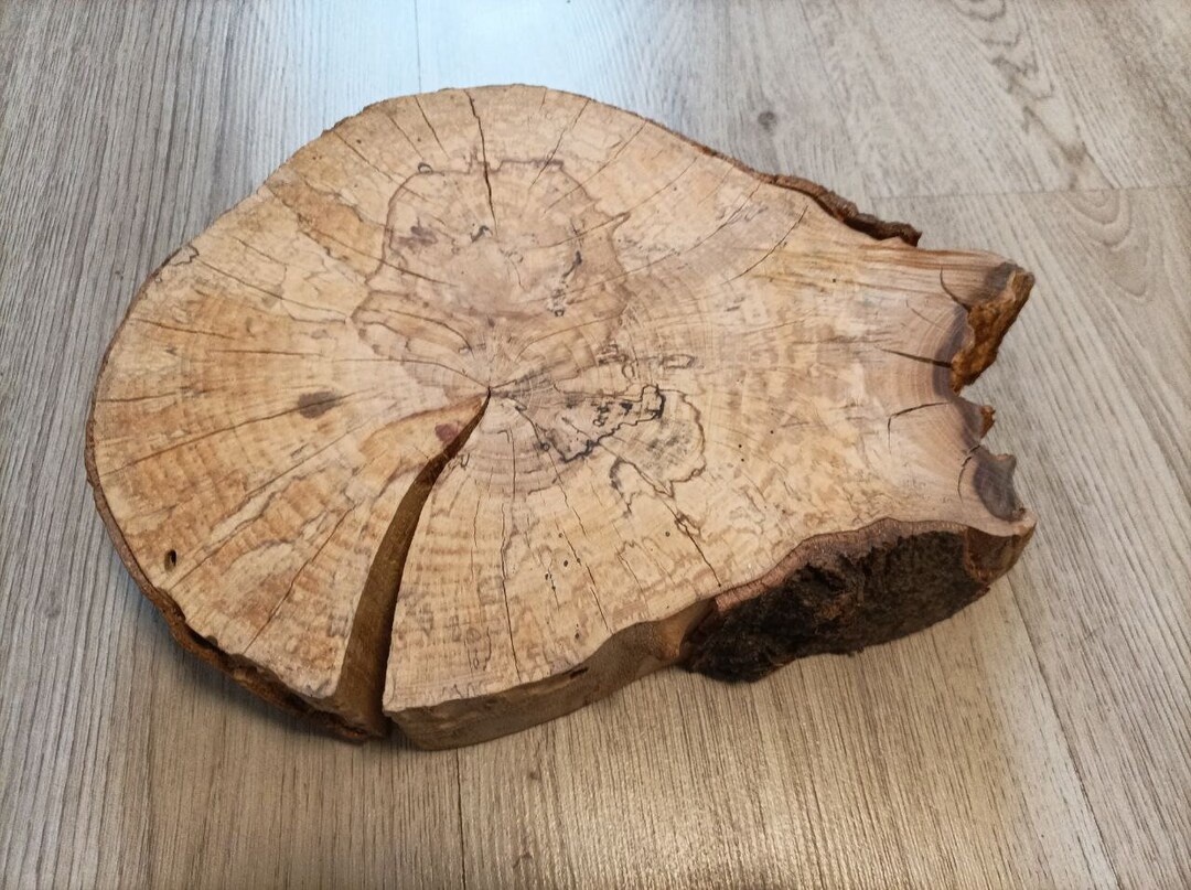 Big Slices,beech Tree,spalted Wood (280x210x65mm) Wood Slices ...