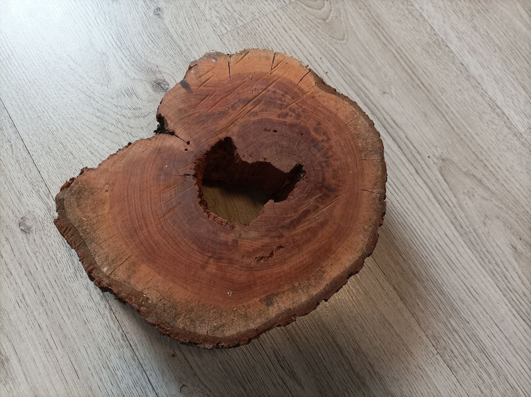 Big Slices,plum Tree Wood,spalted Wood 220x200x70mm Wood Slices ...