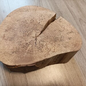 Big Slices,beech Tree,spalted Wood (250x200x90mm) Wood Slices ...