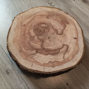 Big Slices,ash Tree,spalted Wood (250x250x60mm) Wood Slices,woodworking ...
