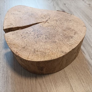 Big Slices,beech Tree,spalted Wood (250x200x90mm) Wood Slices ...