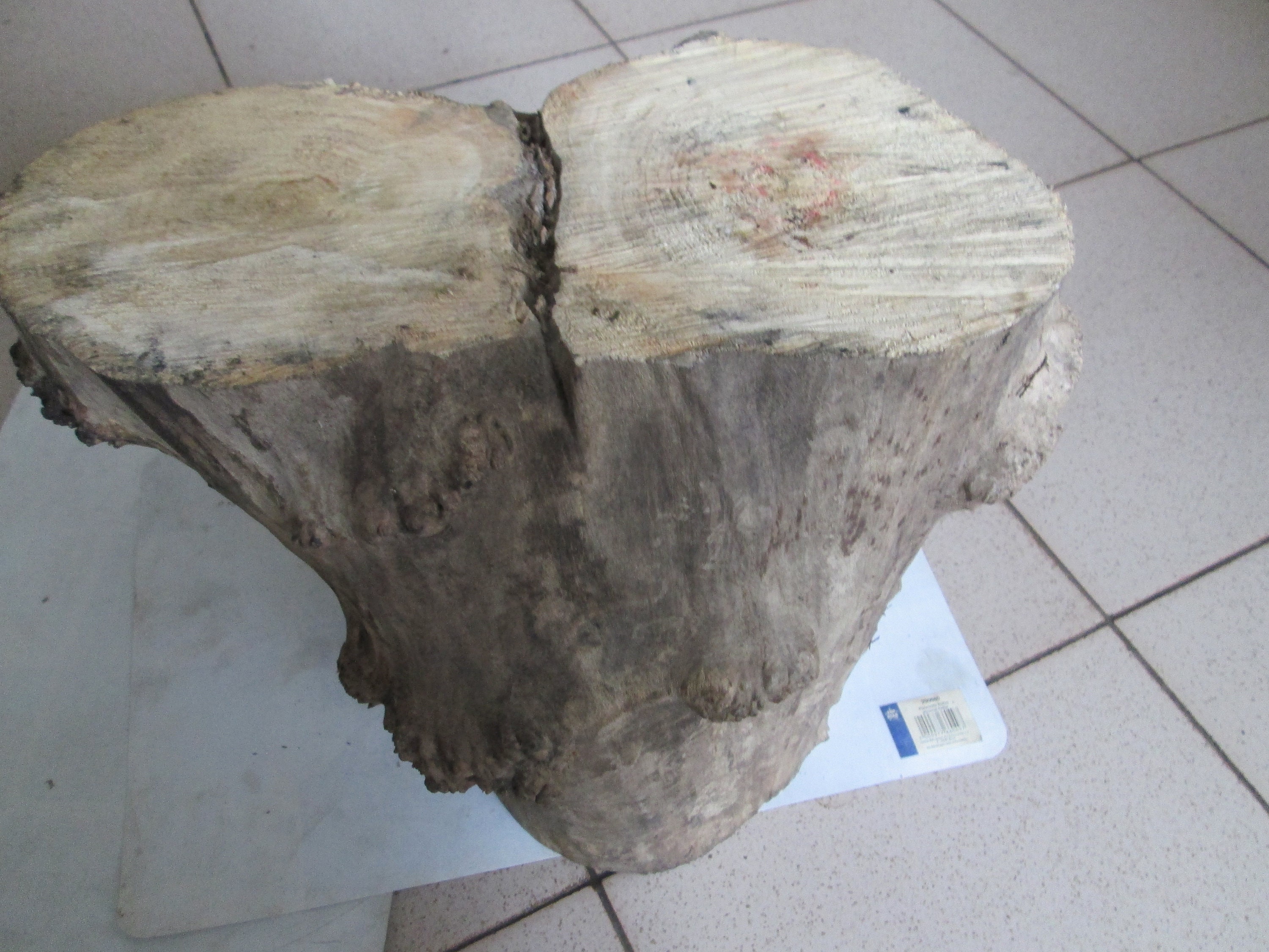 Big Maple Burl Board Slab Wood Burl Blockwoodworking Lumber - Etsy Canada