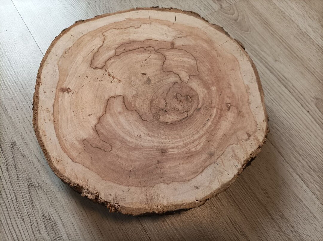 Big Slices,ash Tree,spalted Wood (250x250x60mm) Wood Slices,woodworking ...