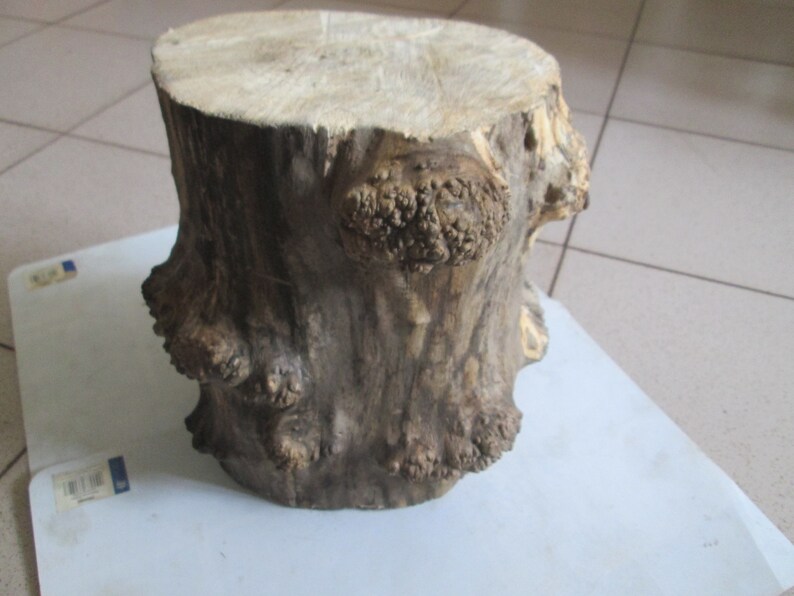 Big maple burl board slab wood Burl BlockWoodworking Lumber | Etsy