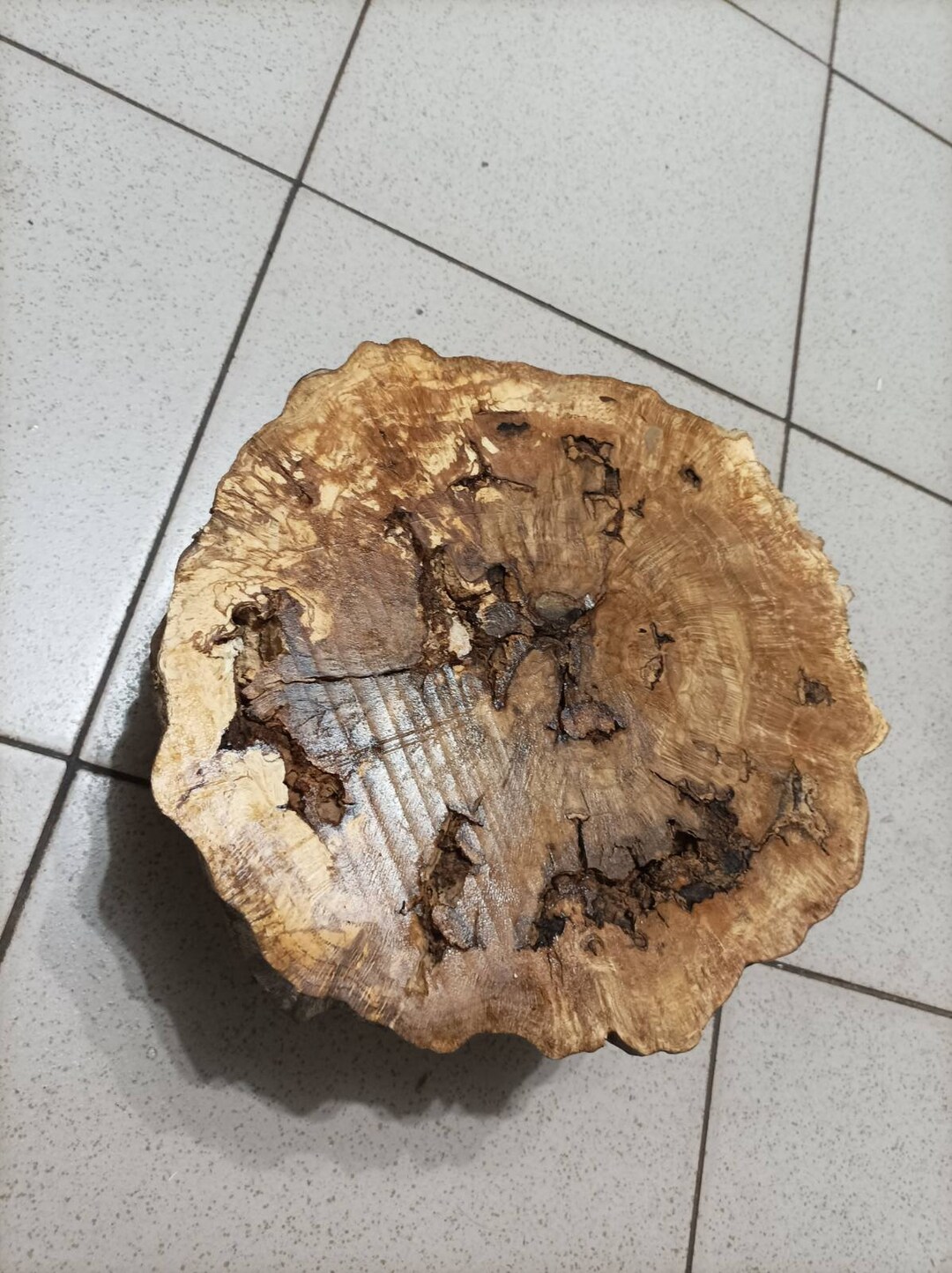 Big Oak Burl Wood Burl Block,woodworking Lumber, Knife Block, Knife ...