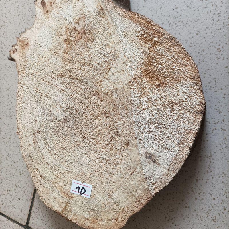 Burl Tree Ornaments - Etsy