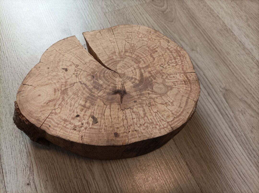 Big Slices,beech Tree,spalted Wood (190x160x60mm) Wood Slices ...