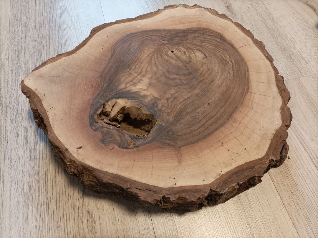 Big Slices,walnut Wood,spalted Wood (380x340x90mm) Wood Slices ...