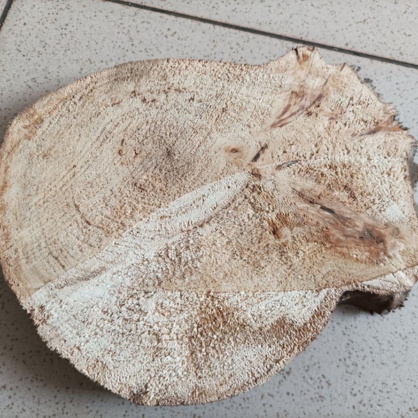Burl Tree Ornaments - Etsy