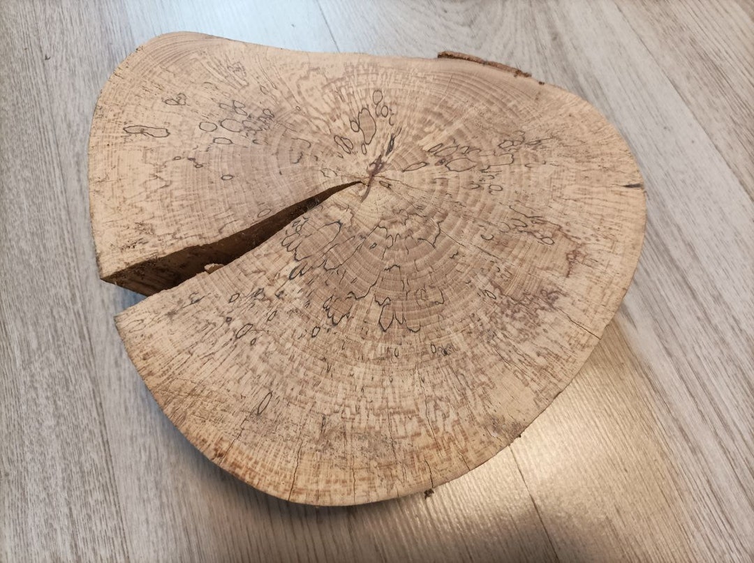 Big Slices,beech Tree,spalted Wood (250x200x90mm) Wood Slices ...