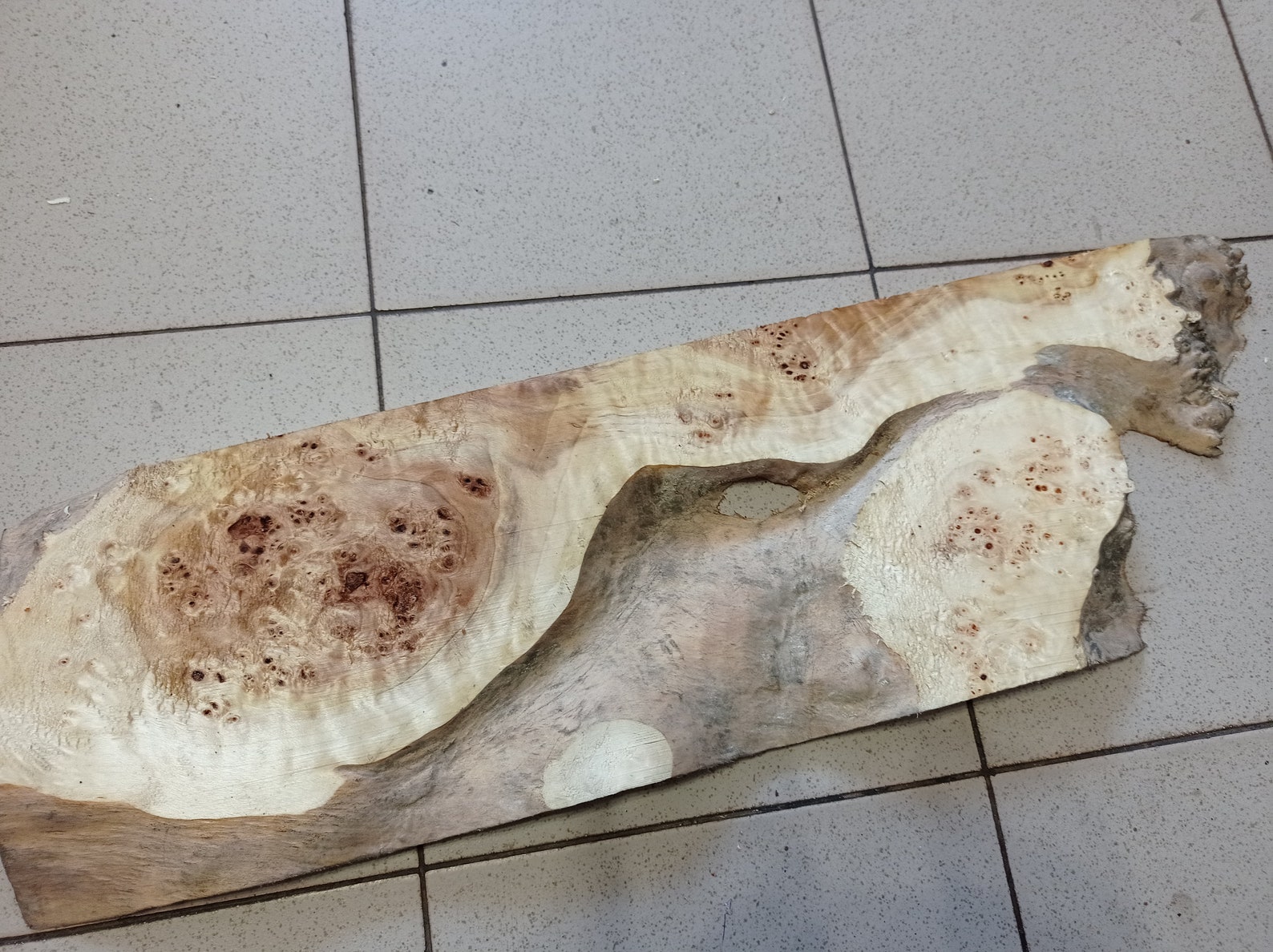 Big Poplar burl wood Burl BlockWoodworking Lumberguitar body | Etsy