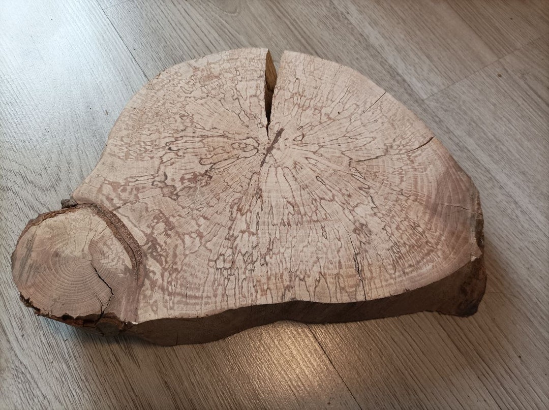 Big Slices,beech Tree,spalted Wood (280x190x55mm) Wood Slices ...