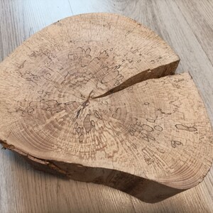 Big Slices,beech Tree,spalted Wood (250x200x90mm) Wood Slices ...
