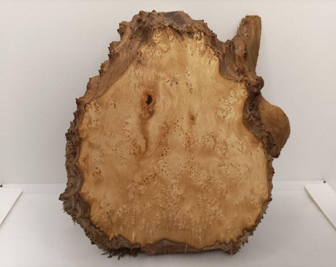Big Hornbeam Burl Wood Burl Block,woodworking Lumber,exotic Wood, Knife ...