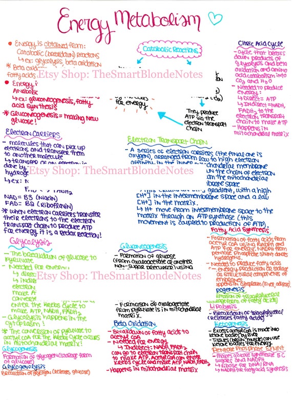 mcat metabolism cheat sheet