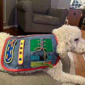 Dexterity and Speech Therapy Picture/sign Display Vest Therapy Dog ...