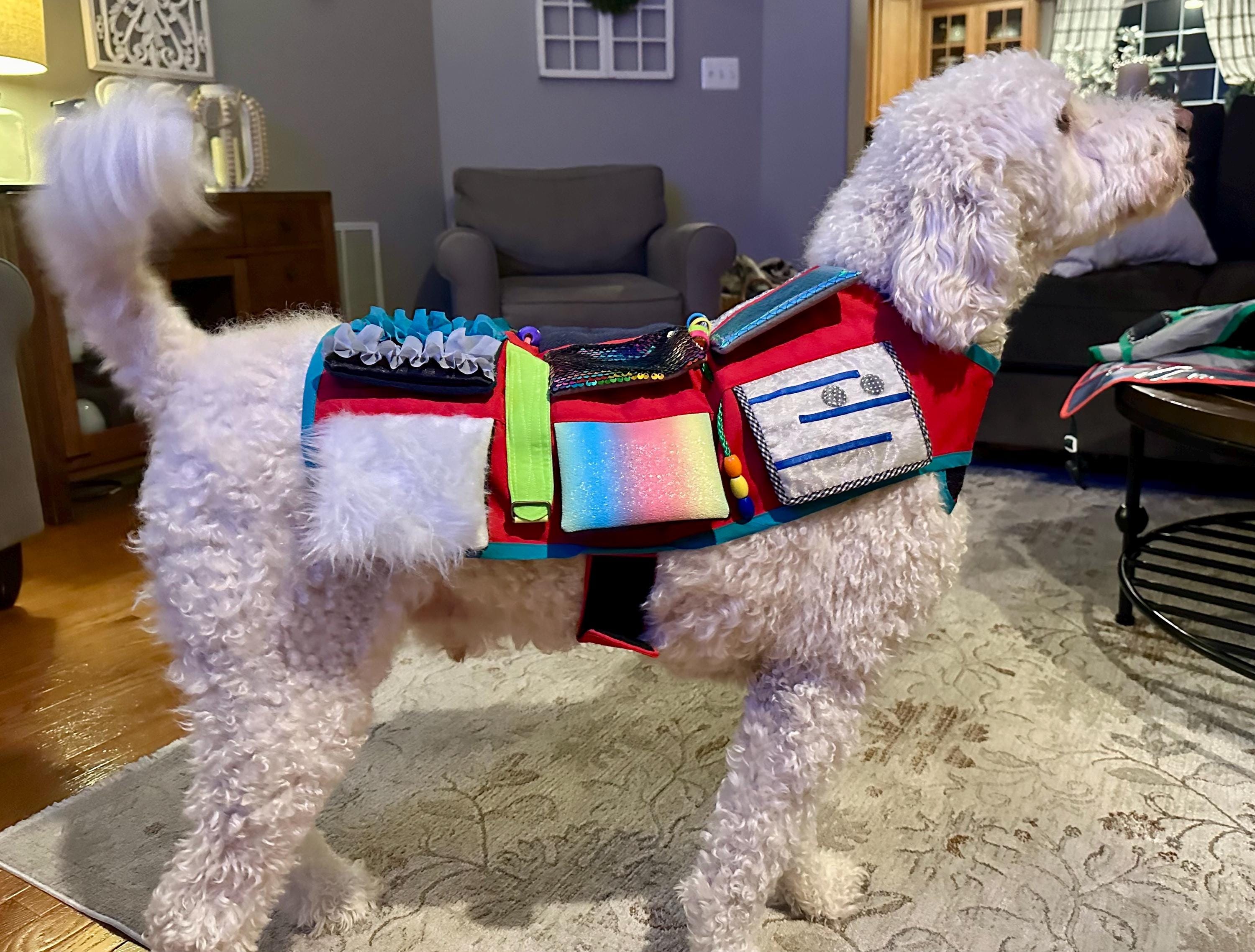 Sensory Fidget Vest for Therapy Dogs ,occupational Therapy, STEM ...