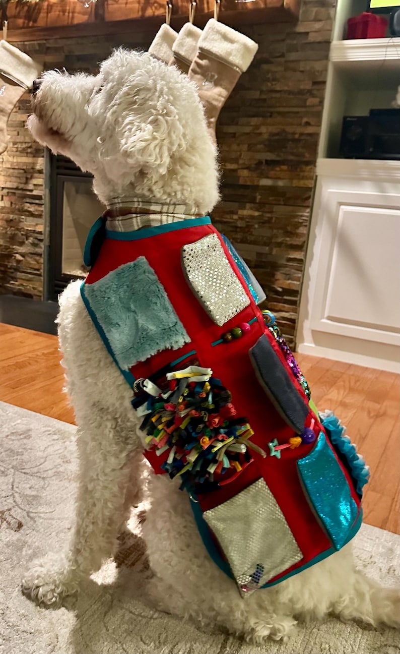 Sensory Fidget Vest for Therapy Dogs ,occupational Therapy, STEM ...