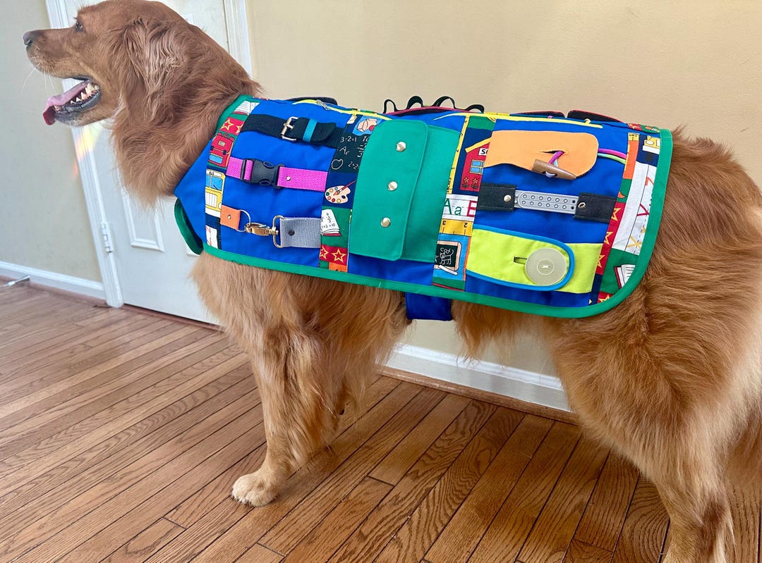 Dexterity Dog Vest, Therapy Dog, Fine Motor, Occupational Therapy ...