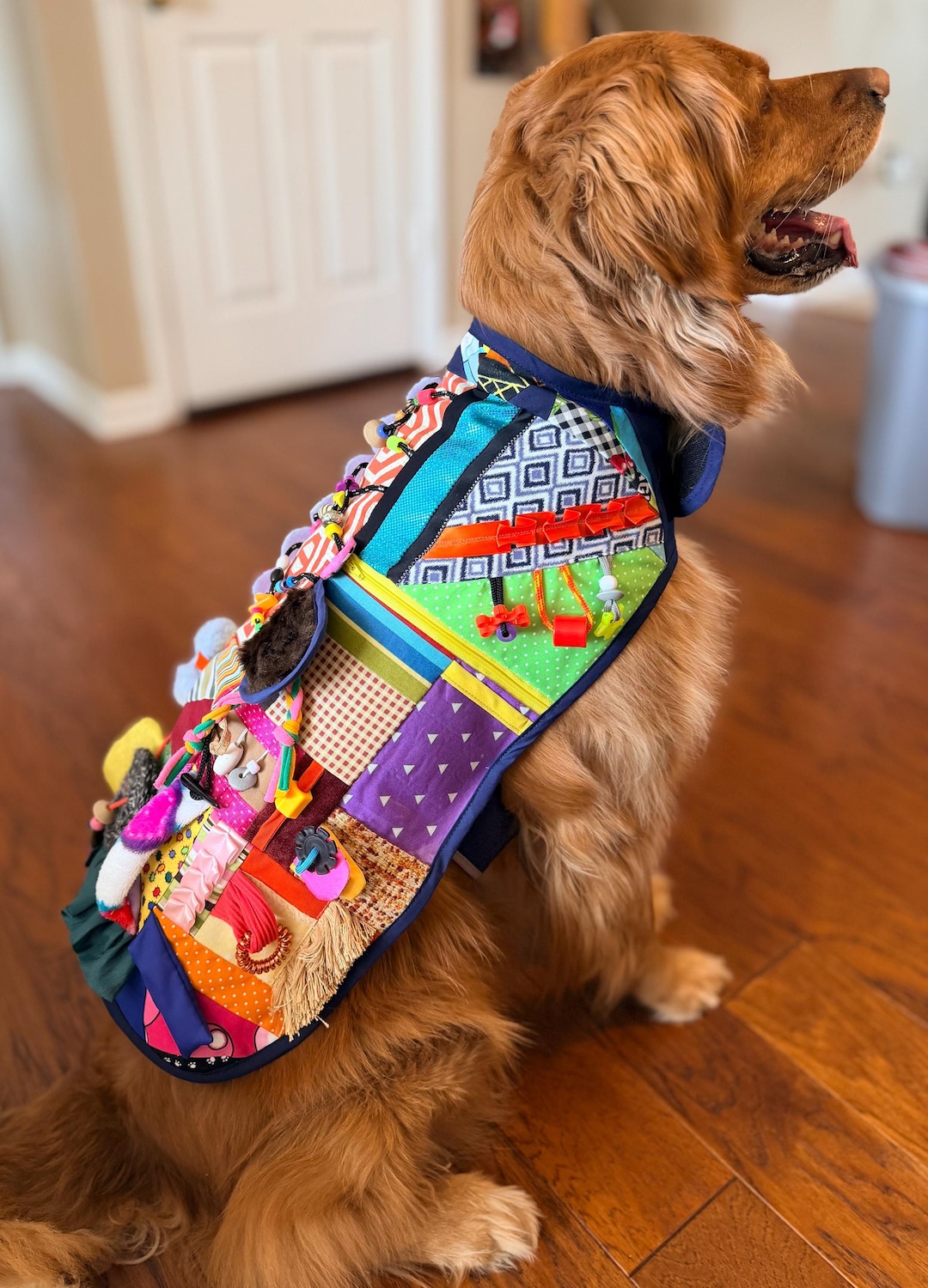 Sensory Fidget Dog Vest, Therapy Dog, OT, Autism, Special Needs ...