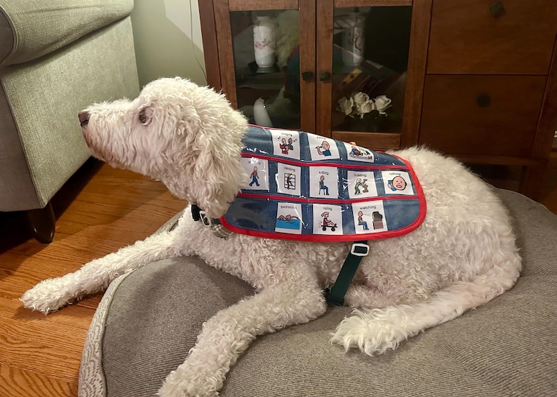 Dexterity and Speech Therapy Picture/sign Display Vest Therapy Dog ...