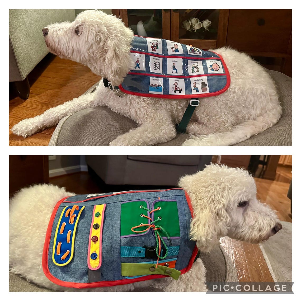 Dexterity and Speech Therapy Picture/sign Display Vest Therapy Dog ...