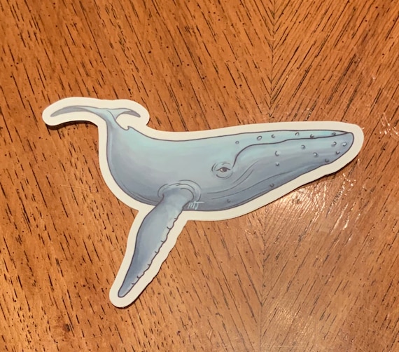 4x3 Humpback Whale Stickers | Etsy