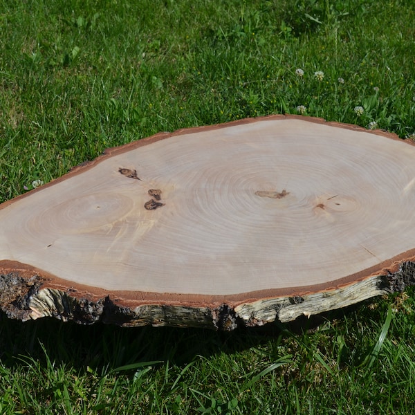 Rustic Wood Slices - Etsy