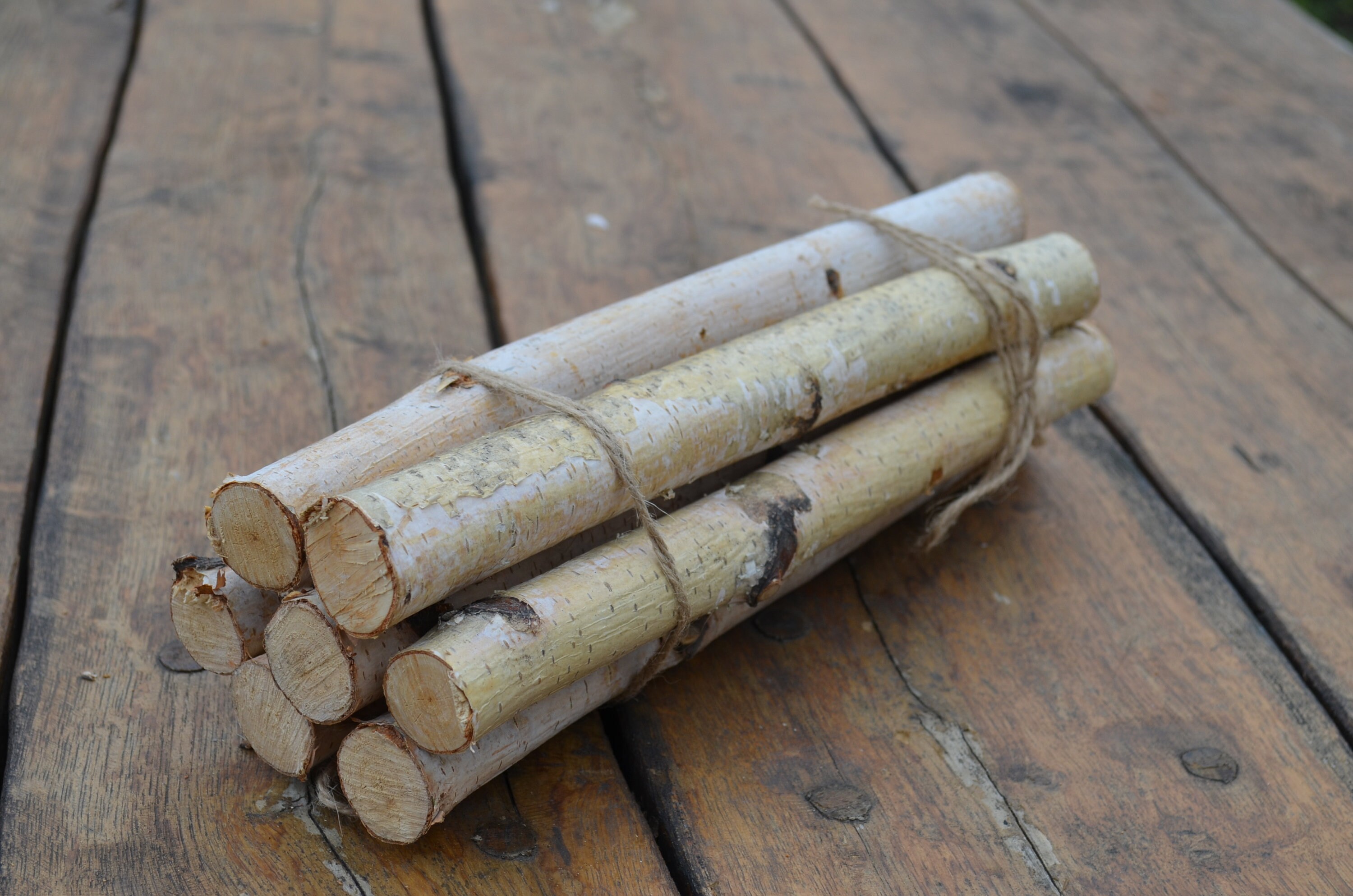 Birch log Craft Supplies Birch Logs White Birch Logs Birch | Etsy