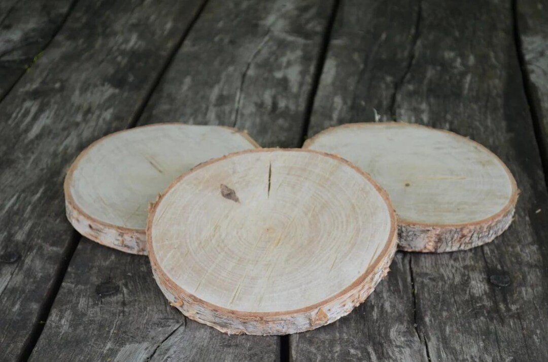 Birch Slices 6.5 Inches Birch Wedding Decor 3 Ps Birch Tree Slice Wood ...