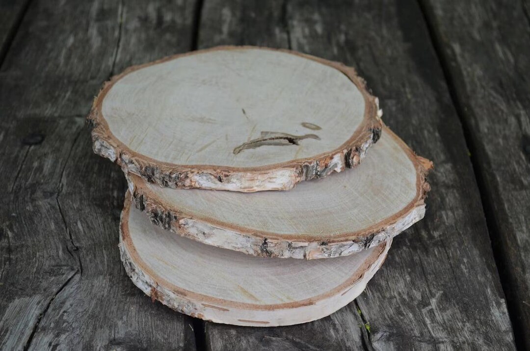 Wood Slices for Centerpieces Birch Wood Wedding Decor 3 Ps Large Birch ...