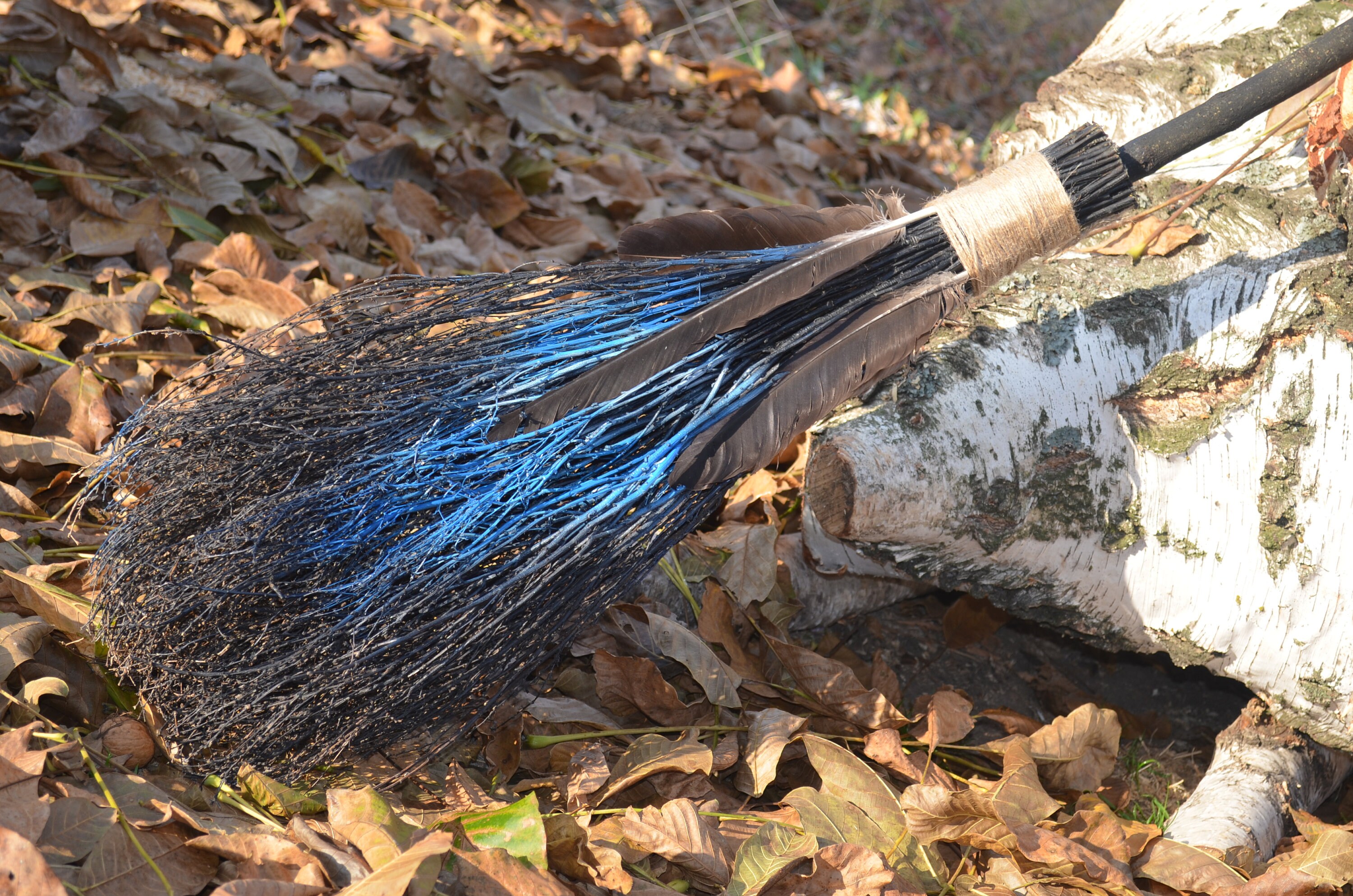 Witch's Broom Witch's Broom is Huge Black Witch's Broom, Witch's Altar ...