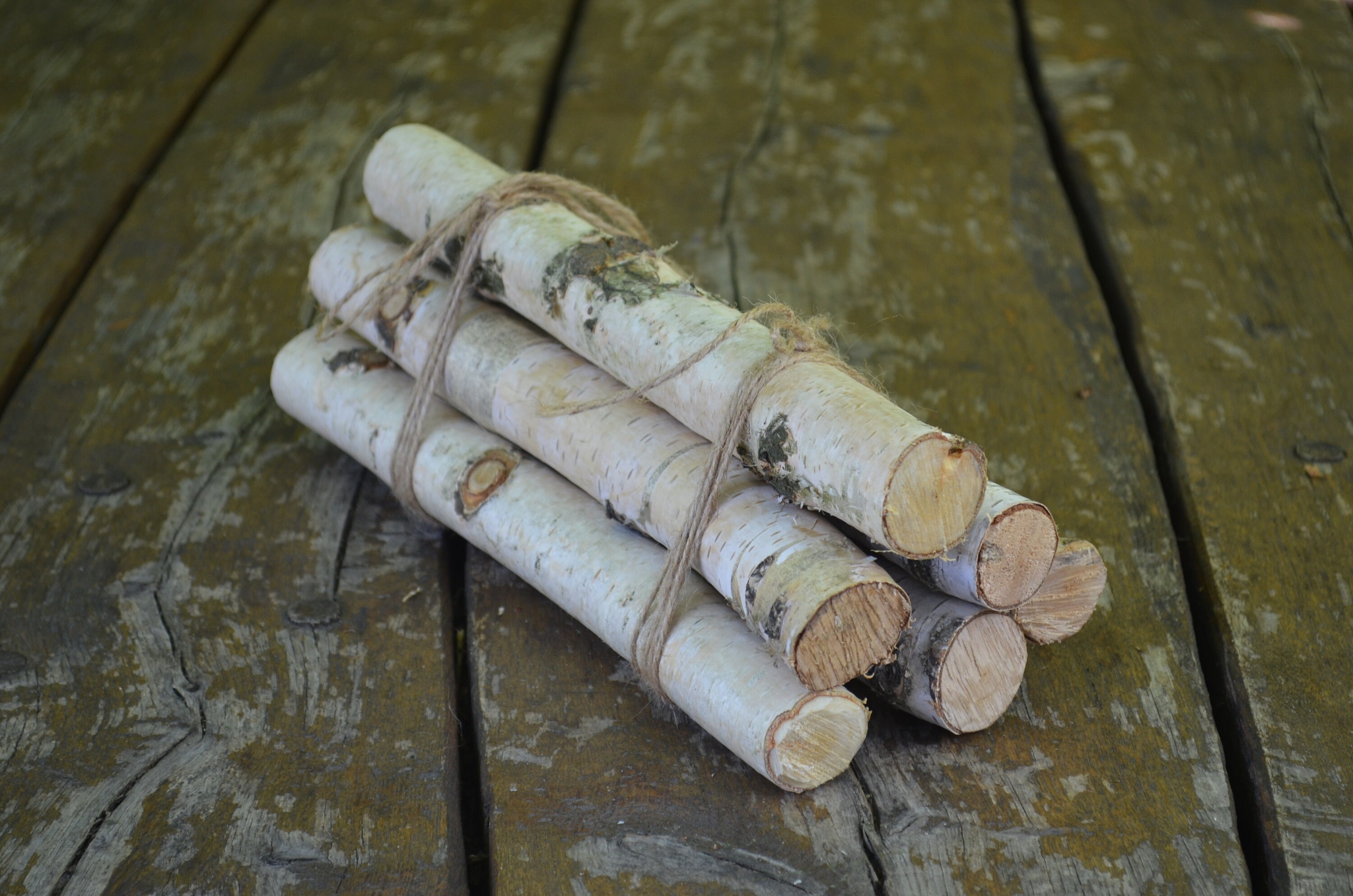 Birch Sticks Wood Decor Birch Log White Birch Branches | Etsy