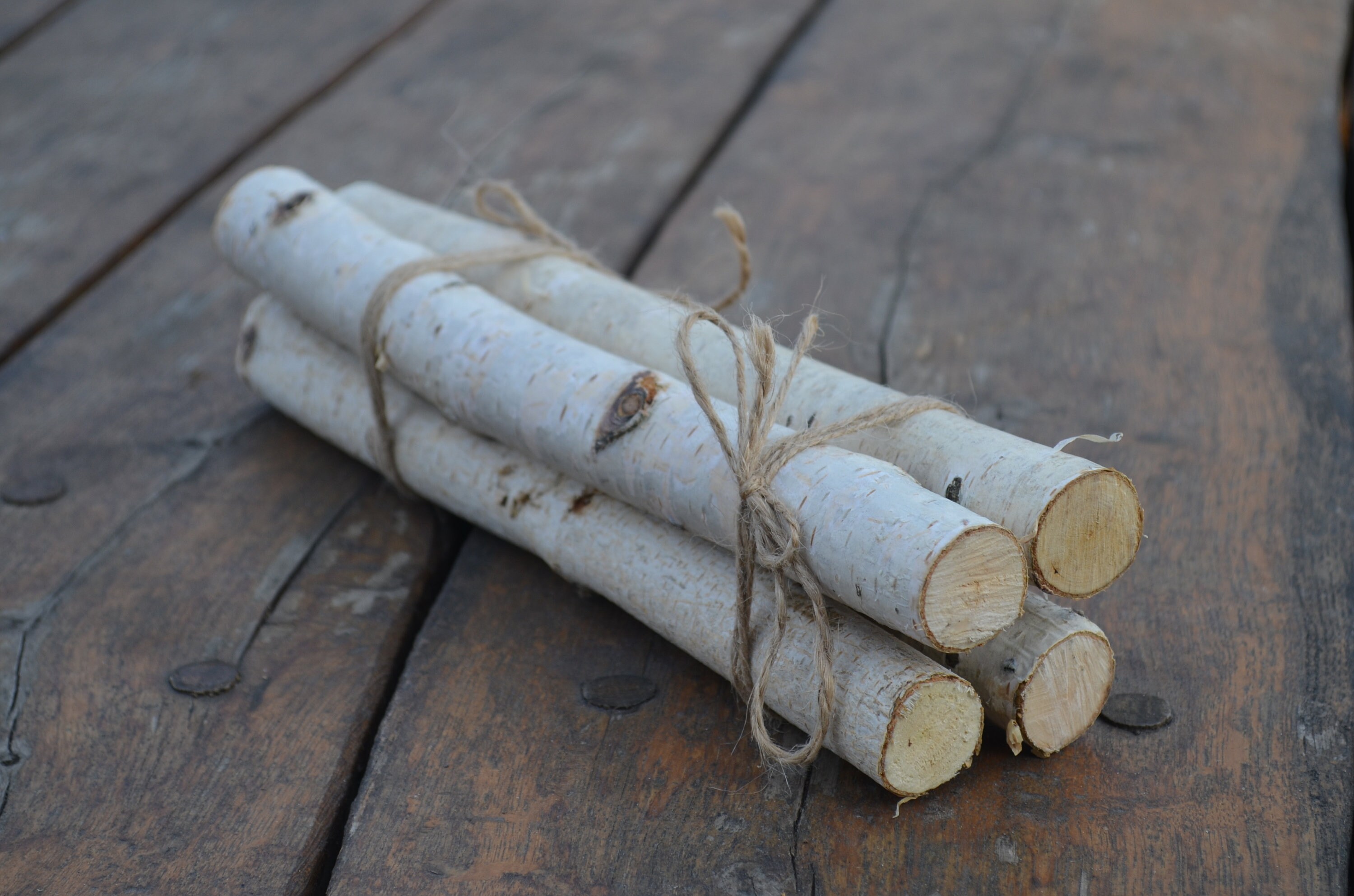 Birch Bundle Logs of 4 White Birch Logs Rustic Craft Supply | Etsy Canada