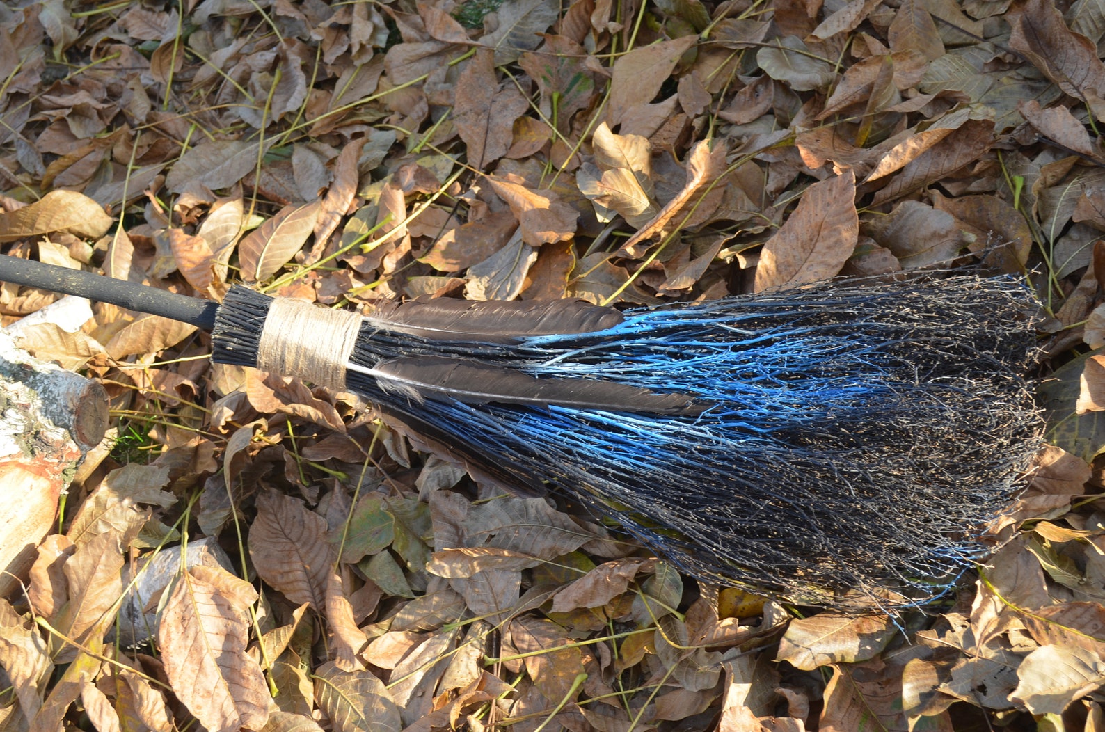 Witch's Broom Witch's Broom is Huge Black Witch's Broom, Witch's Altar ...