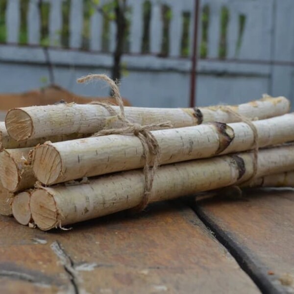 Small Birch Branches - Etsy