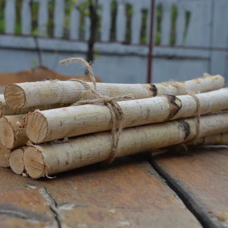 White Birch Branches - Etsy