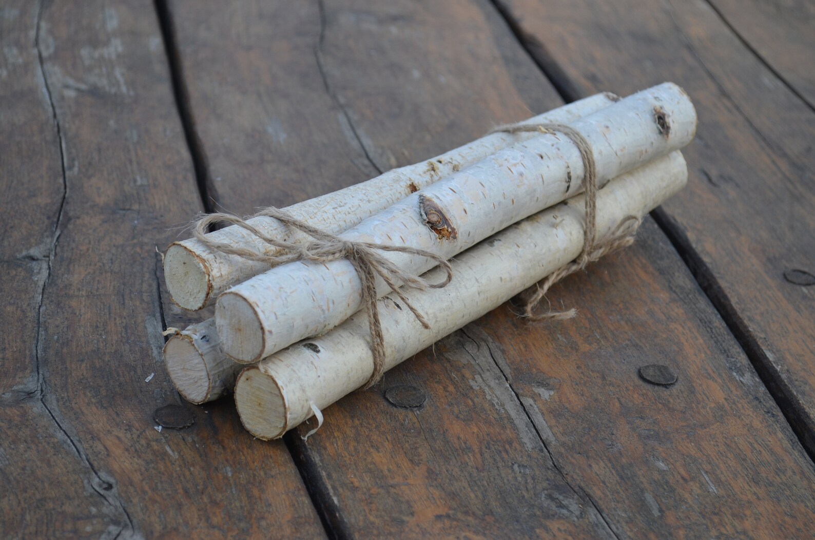 Birch Bundle Logs of 4 White Birch Logs Rustic Craft Supply | Etsy Canada