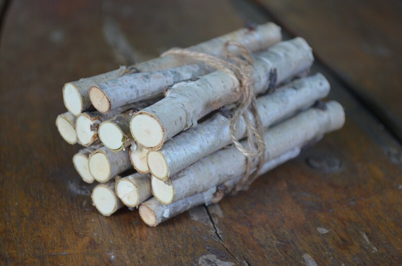 White Birch Logs, Mini Birch Sticks, Set 14 Wooden Sticks, Deko Decor ...