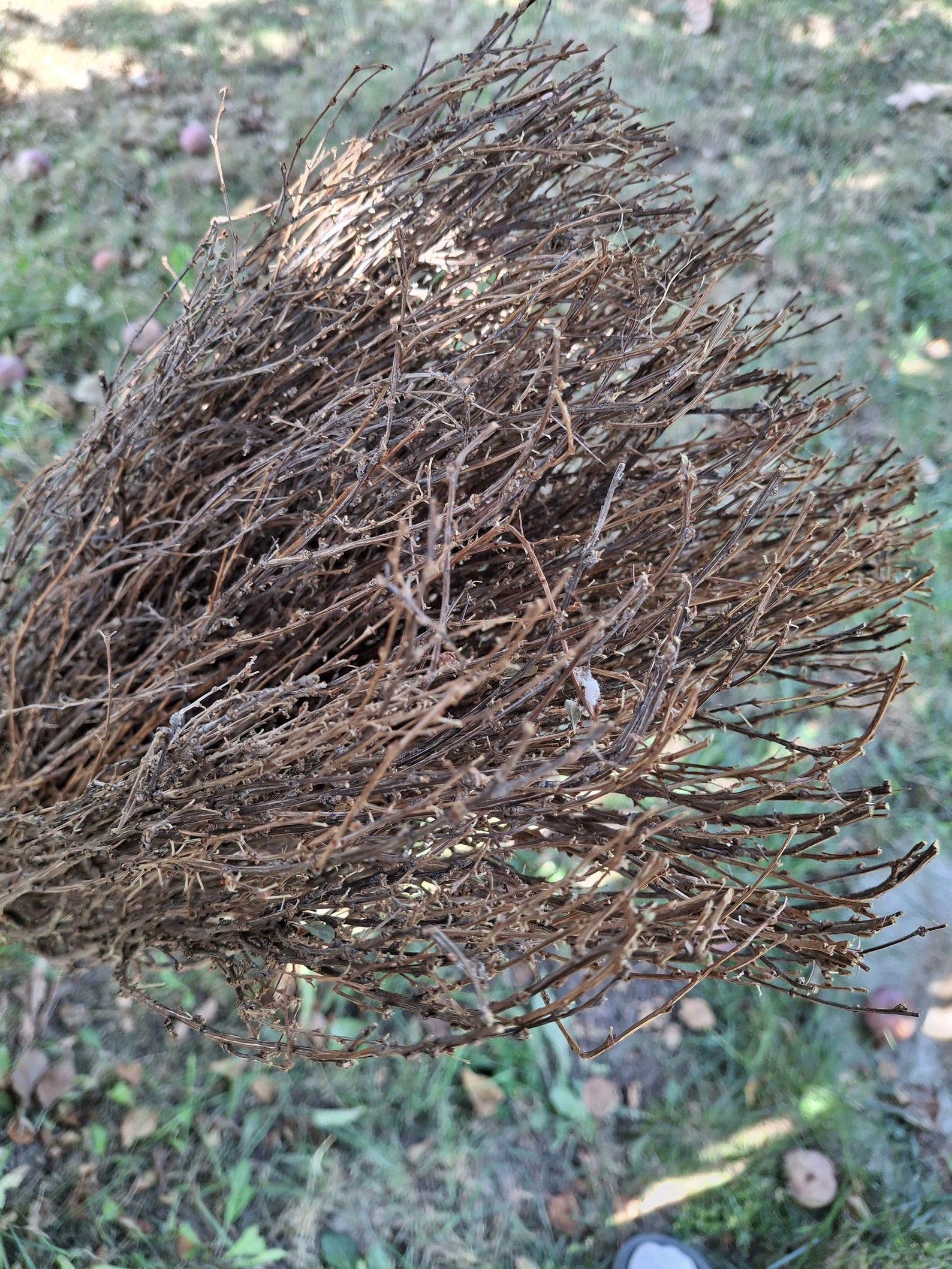 Pagan Witch Besom Broom Rustic Wedding Decor Witches Broom Witch ...