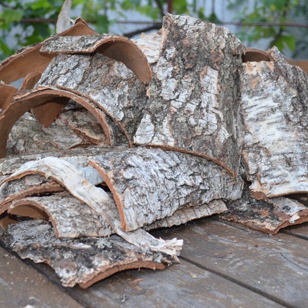 Birch Bark Sheets - Etsy