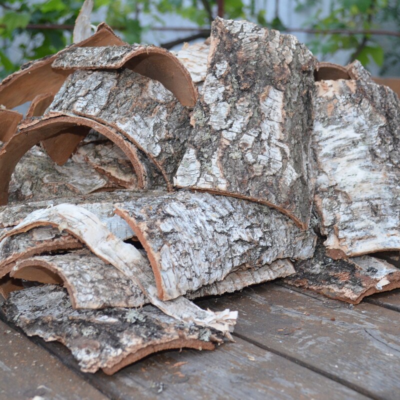 Birch Bark Sheets - Etsy