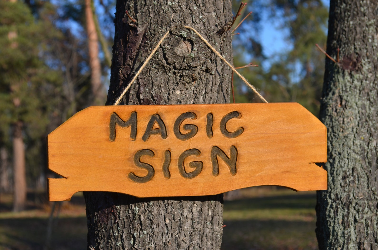 Wooden MAGIC SIGN / Home Decor Wizard Magic /believe in Magic - Etsy