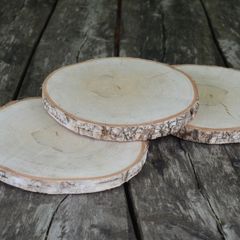 Large Wood Slices - Etsy