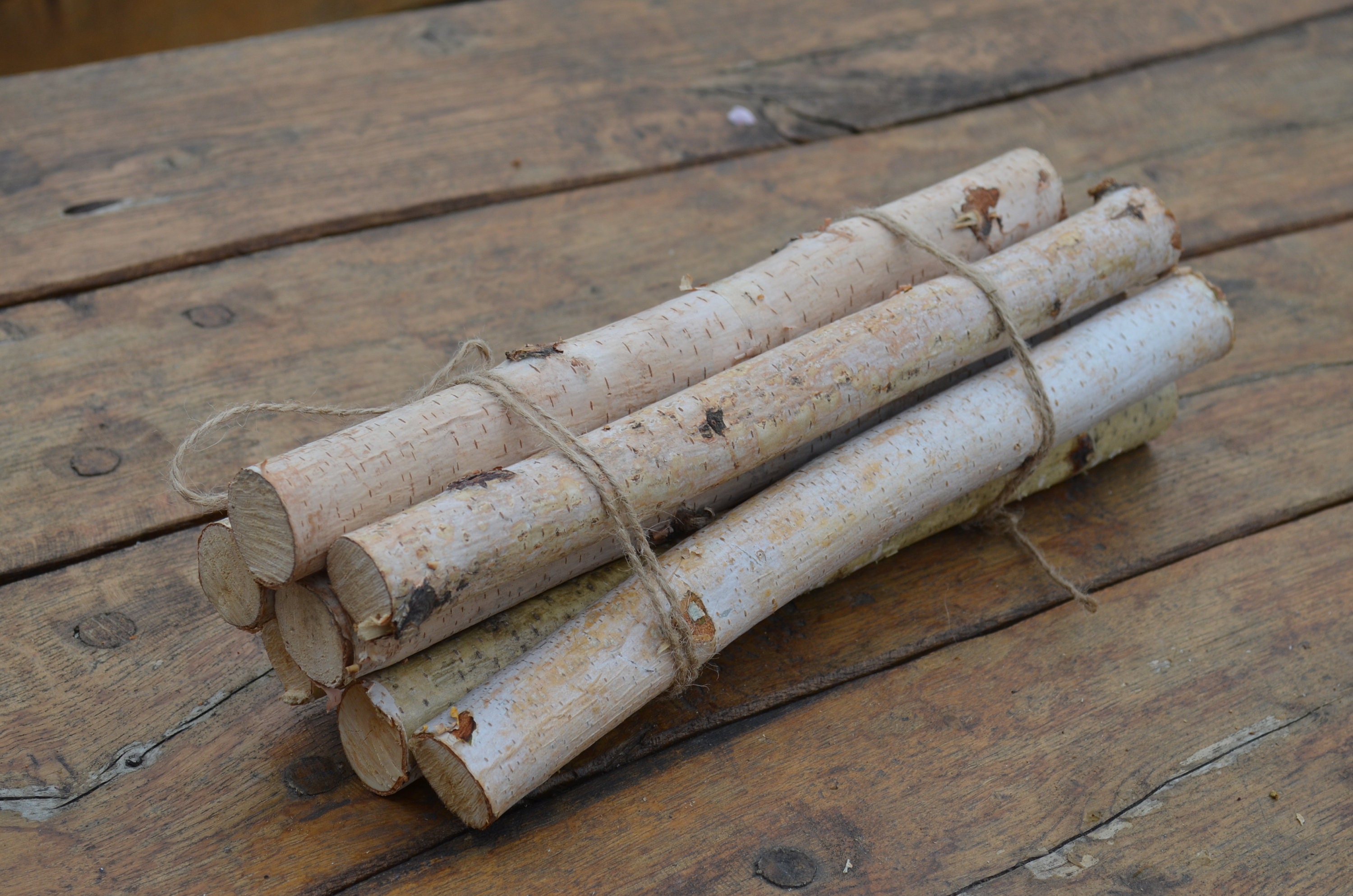Birch log Craft Supplies Birch Logs White Birch Logs Birch | Etsy