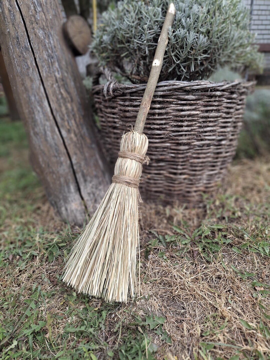 Broomstick Mini Small Standard Broom Favorite Brooms for Miniature ...