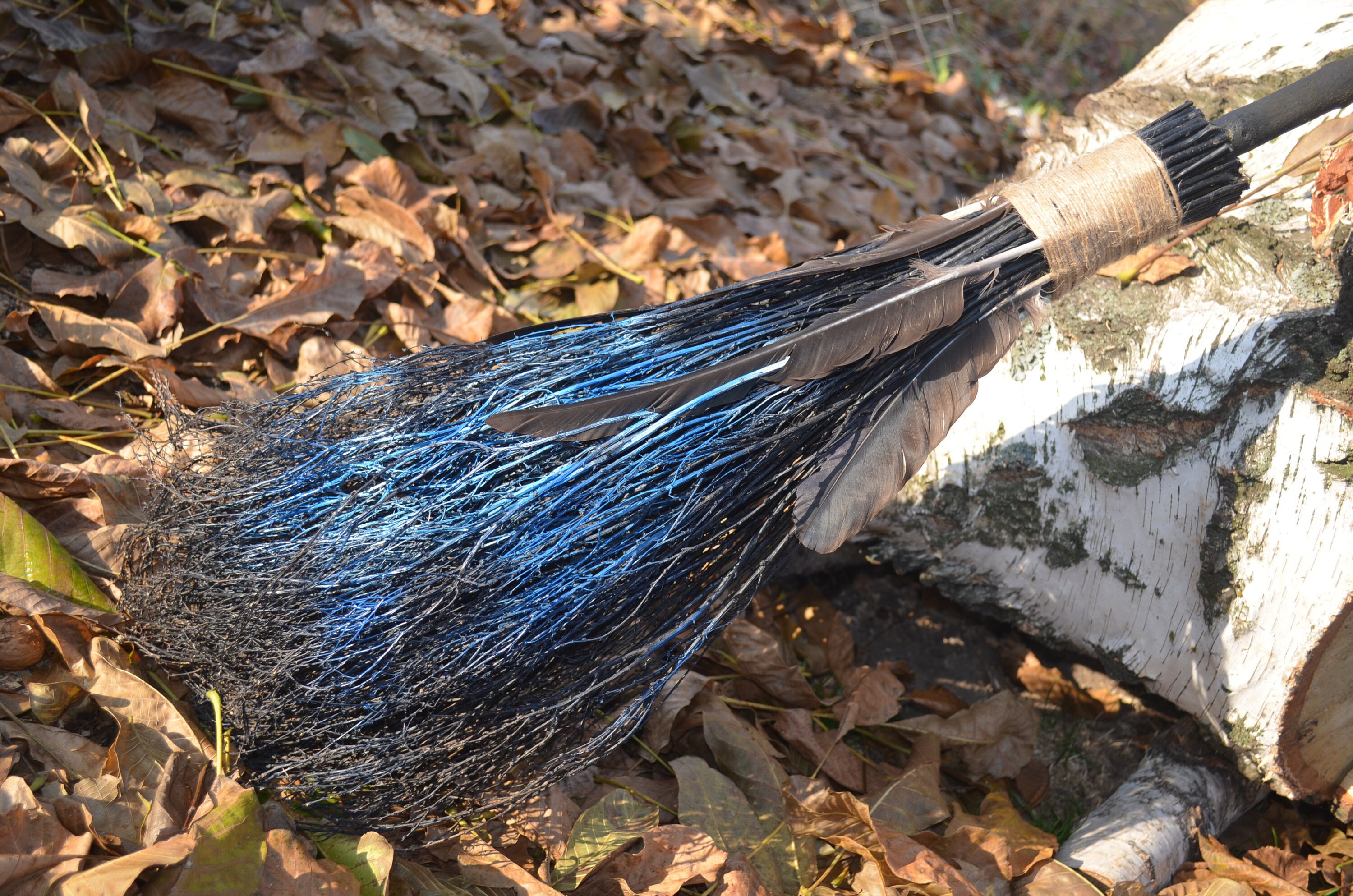 Witch's Broom Witch's Broom is Huge Black Witch's Broom, Witch's Altar ...