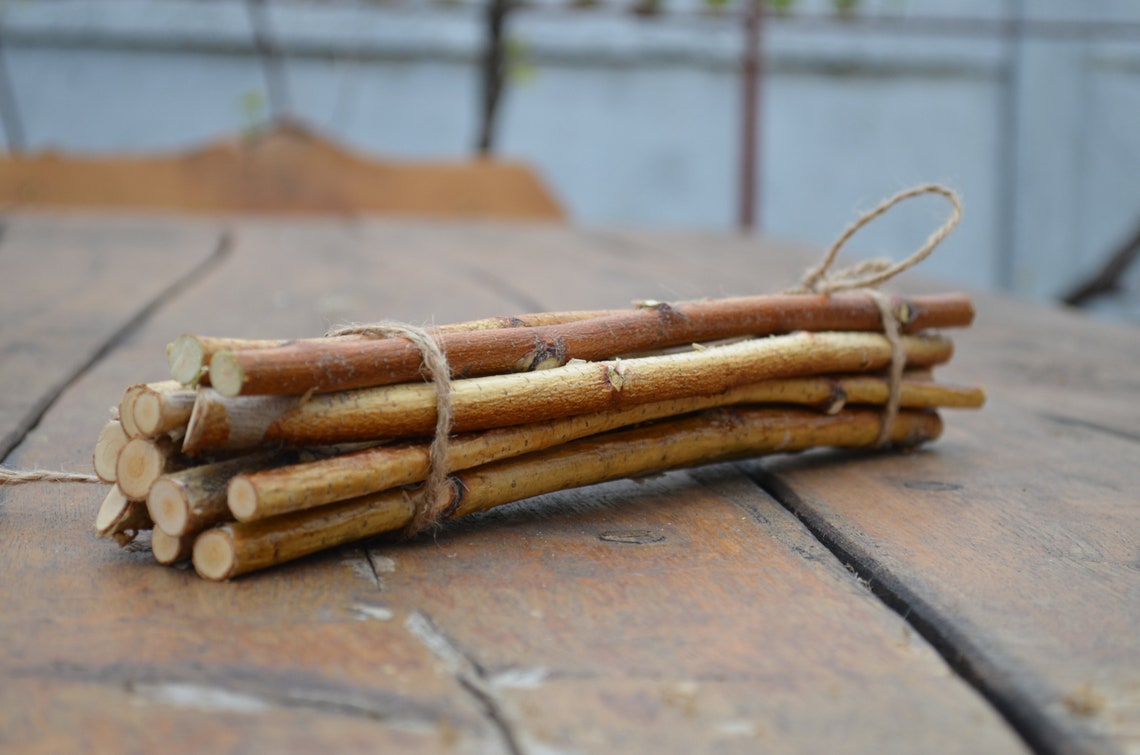 Birch sticks Natural decor Rustic home decor Tool for magic | Etsy